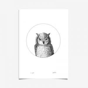 Kea Print | Haze Road