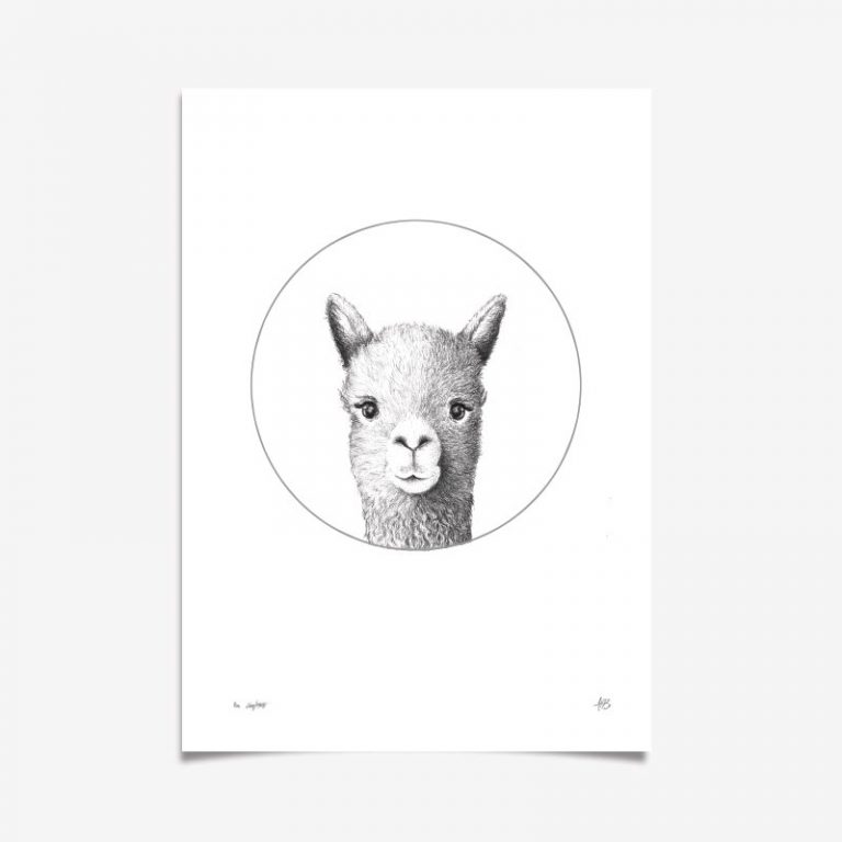 Kea Print | Haze Road